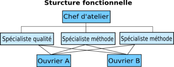 Les principaux types de structure organisationnelle pour une entreprise