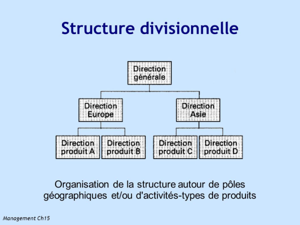 Les principaux types de structure organisationnelle pour une entreprise